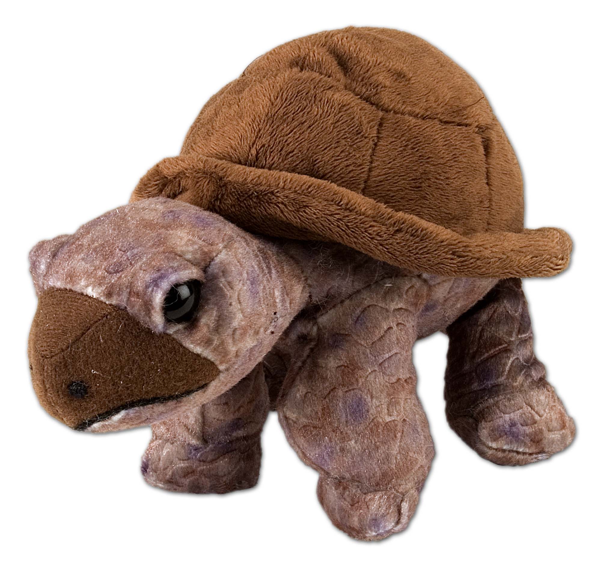 Cuddlekins Mini Tortoise Stuffed Animal 8" – Wild Republic India