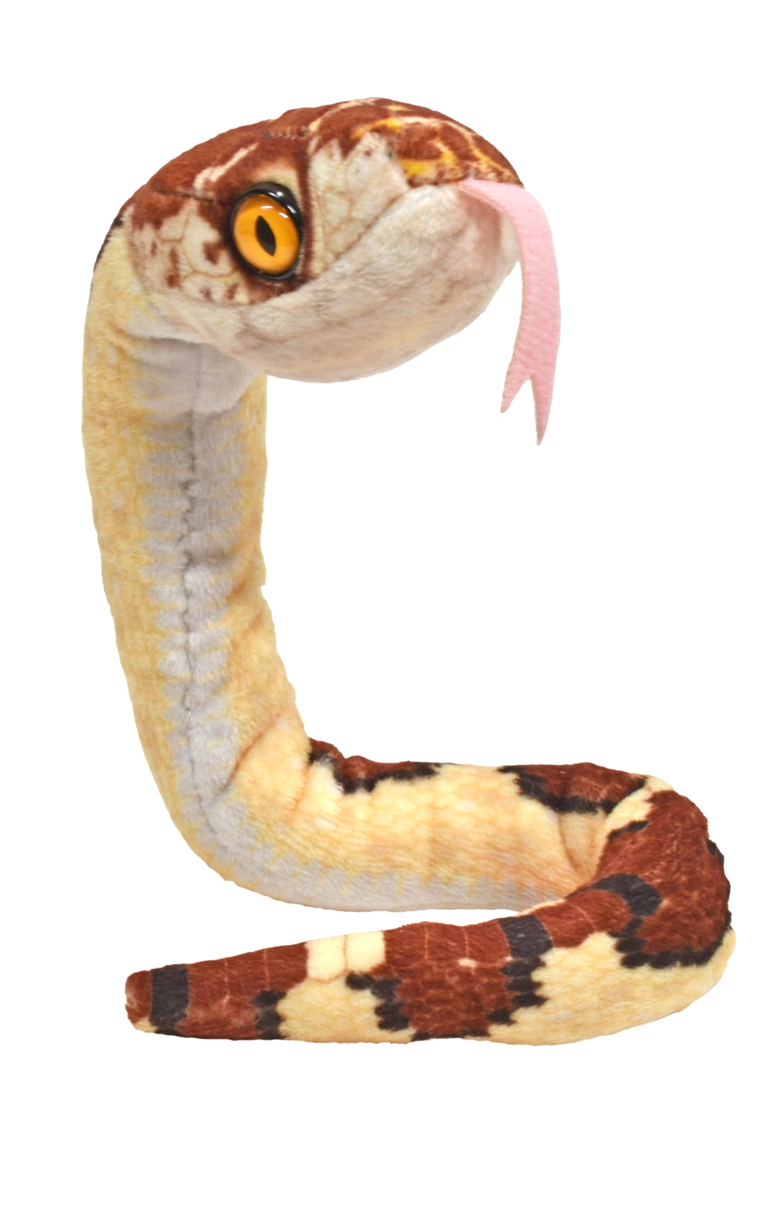Coilkins Blunt Headed Tree Snake Stuffed Animal 12" – Wild Republic India